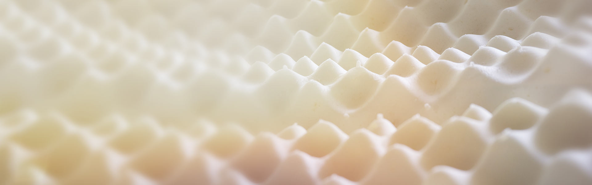 Foam Blowing – ARM & HAMMER™ Performance Products